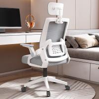 China Modern Furniture Full Mesh Ergonomic Office Working Chair with Built-in Headrest and Adjustable Back Seat for sale