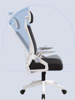 China Modern Furniture Full Mesh Ergonomic Office Working Chair with Built-in Headrest and Adjustable Back Seat for sale