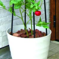 China Spliced Four-corner Flower Tower Cucumber Climbing Rack Triangular Clematis for sale