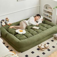China Apartment Lazy Sofa Lying Down Bed with Adjustable Backrest Double Loveseat Small Rental Room Seaters Human Dog for sale