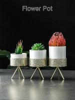 China Flower Pot Set for Indoor Desktop Used With Flower/Green Plant Ceramic Succulent Cactus Planter Mini Iron Storage Tank for sale