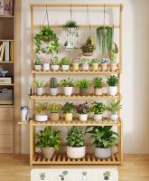 China Wood Bamboo Eco-Friendly Rack for Living Room Simple Tall Floor Standing Plant Pot Book Storage Office Balcony for sale