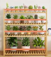 China Wood Bamboo Eco-Friendly Rack for Living Room Simple Tall Floor Standing Plant Pot Book Storage Office Balcony for sale