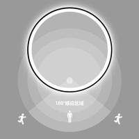China Round LED Bathroom Mirror 12V Dimmable 3000K-6000K Black Illuminated Custom Size for sale