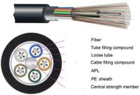 China Outdoor armoured Singlemode Fiber Optic Cable 12 core optical fiber cable for network for sale