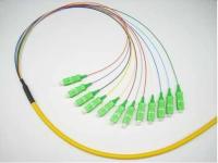 China SC APC to SC APC 12 Fiber 24 Core Multifiber Optical Patch Cord Jumper for sale