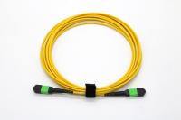 China MPO Male to Female Fiber Optic Patch Cable Single Mode OM3 12 Core 24 Core Low Loss for sale