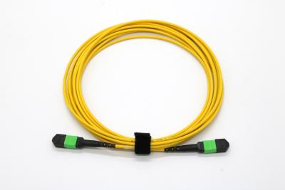 China MPO Male to Female Fiber Optic Patch Cable Single Mode OM3 12 Core 24 Core Low Loss for sale