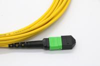 China MPO Male to Female Fiber Optic Patch Cable Single Mode OM3 12 Core 24 Core Low Loss for sale