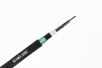 China GYTA53 Fiber Optic Cable Outdoor Direct Burial Armored 2-144 Cores Single Mode for sale