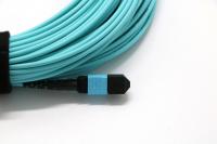 China OM3 MPO Trunk Cable Female Connector 12 Fiber UPC Polished Fiber Optic Patch Cord for sale