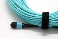 China OM3 MPO Trunk Cable Female Connector 12 Fiber UPC Polished Fiber Optic Patch Cord for sale