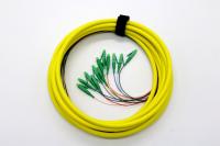China Singlemode 9/125 Fiber Optic Pigtail LC APC Connector 3 Meter 6 Core for sale