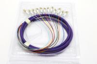 China Outdoor Fiber Optic Pigtail 12 Cores LC APC Single Mode Custom Length 0.9mm for sale