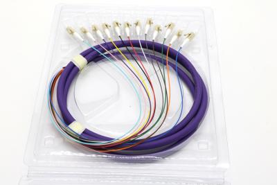China Outdoor Fiber Optic Pigtail 12 Cores LC APC Single Mode Custom Length 0.9mm for sale