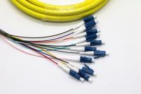 China 12 Cores Single Mode Fiber Patch Cord LC UPC 9/125μm Low Insertion Loss ≤0.2dB for sale