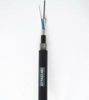 China GYTA33 Armoured Fiber Optic Cable 24 Core Underwater Loose Tube Steel Wire Armor for sale