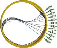 China 12core , 24core , 48core FC Fiber Optic Pigtail for Optical access network for sale