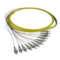 China 12core , 24core , 48core FC Fiber Optic Pigtail for Optical access network for sale