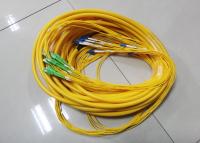 China 12-Core and 24-Core Single Mode SC Fiber Optic Patch Cords with 0.9mm-3.0mm Diameter and -40°C to +85°C Operating Range for sale