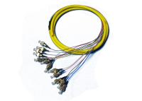 China 12 Core Fiber Pigtail SC FC UPC APC Single Mode Multimode 0.2dB Insertion Loss for sale