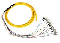 China 12 Core Fiber Pigtail SC FC UPC APC Single Mode Multimode 0.2dB Insertion Loss for sale