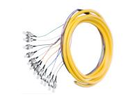 China 12 Core Fiber Pigtail SC FC UPC APC Single Mode Multimode 0.2dB Insertion Loss for sale