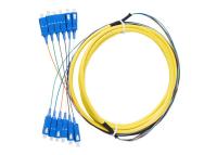 China 12-Core and 24-Core Single Mode SC Fiber Optic Patch Cords with 0.9mm-3.0mm Diameter and -40°C to +85°C Operating Range for sale
