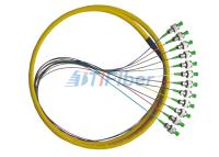 China ST 0.9mm Breakout Fiber Optic Pigtail , 12 core Optical Cable for sale