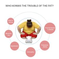 China Unisex Herbal Extracts Fat Burning Cream Body Slimming Cream for sale