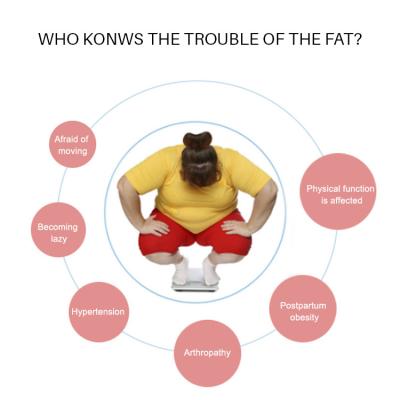 China Unisex Herbal Extracts Fat Burning Cream Body Slimming Cream for sale