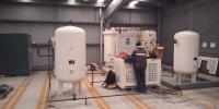 China PSA Nitrogen Generator for Oil & Gas 5-5000 Nm3/h 95-99.9995% Purity for sale