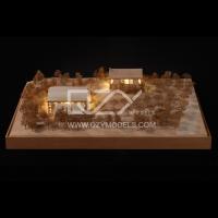 China 1:100 Scale Realistic Style Architectural Model with Solid Wood Craftsmanship for Display and Study for sale
