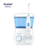 China IPX7 Water Irrigator For Teeth 600ml Fc165 for sale