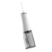 China Ipx7 Waterproof Portable Flosser 4 Modes Usb Rechargeable Fc5090 for sale