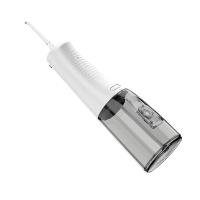China Ipx7 Waterproof Portable Flosser 4 Modes Usb Rechargeable Fc5090 for sale