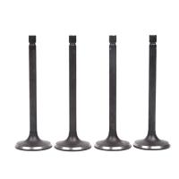 China OEM NO 1003012FA China Truck Parts Intake and Exhaust Valve for HFC4DA1 Engine Assembly for sale