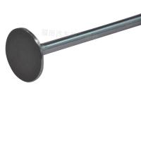 China New Condition Foton Truck Parts ISF3.8 Intake and Exhaust Valve for sale