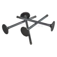 China New Condition Foton Truck Parts ISF3.8 Intake and Exhaust Valve for sale