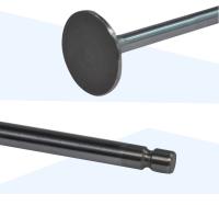 China New Condition Foton Truck Parts ISF3.8 Intake and Exhaust Valve for sale