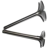 China Auto Spare Parts  2408000300800-c Intake & Exhaust Valve Exhaust Engine Intake Valve for QC480 for sale