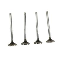 China Auto Spare Parts  2408000300800-c Intake & Exhaust Valve Exhaust Engine Intake Valve for QC480 for sale
