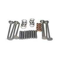 China Auto Spare Parts  2408000300800-c Intake & Exhaust Valve Exhaust Engine Intake Valve for QC480 for sale