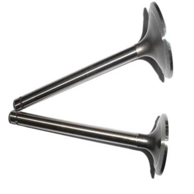 China Auto Spare Parts  2408000300800-c Intake & Exhaust Valve Exhaust Engine Intake Valve for QC480 for sale
