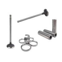 China Professional Grade Performance Convenience Long Distance Use Truck Parts Exhaust Valve Seat for Truck for sale