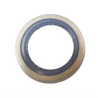 China Factory Direct Sales High Quality Heat Wear Resistant Truck Parts Truck Rear Wheel Oil Seal for Truck Fleet Maintenance for sale