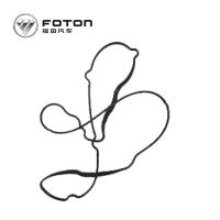 China New Excellent Sealing Performance Reliable Leak Proof Protection Door Seal Strip for Foton Truck Parts for sale