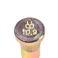 China New RQT295D288-4022ZHA1857 Rear Wheel Fastening Tire Bolts and Screws with Caps for Light Trucks for sale