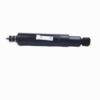 China New Wholesale Price High Quality Leaderparts OE 2905010N Absorber Front Shock Complete Strut Assembly for Shuailing for sale