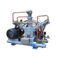China Medium Size Wellcare Oxygen Booster Compressor 60-600 NM3/H for Medical Applications for sale